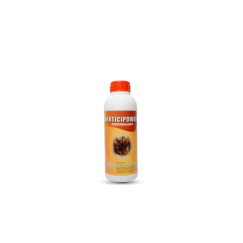 #1 The Best Control Sucking Pests with Verticillum Lecani